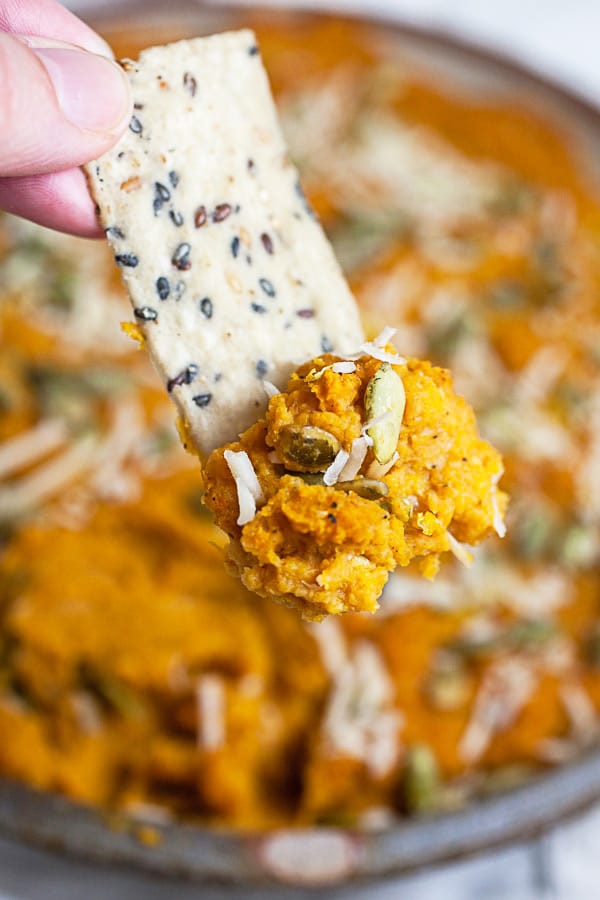 Butternut Squash Dip with Parmesan Recipe | The Rustic Foodie®