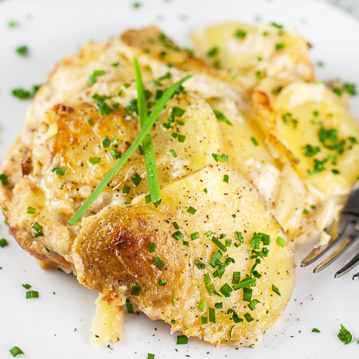 Healthy Seasonal Gluten Free Recipes | The Rustic Foodie®