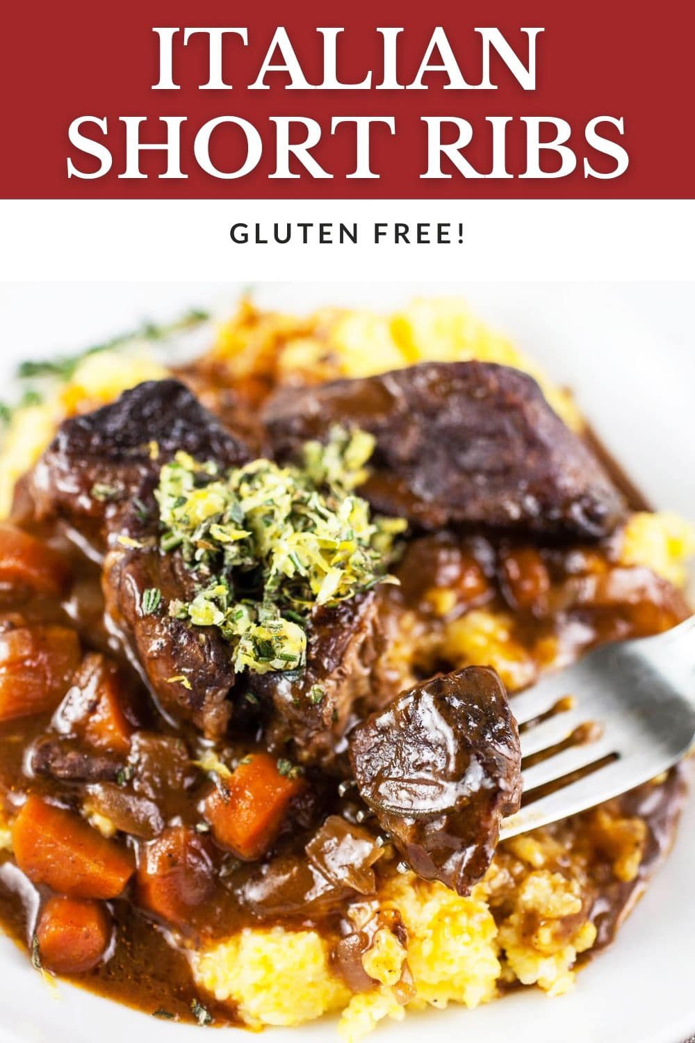 Italian Short Ribs | The Rustic Foodie®