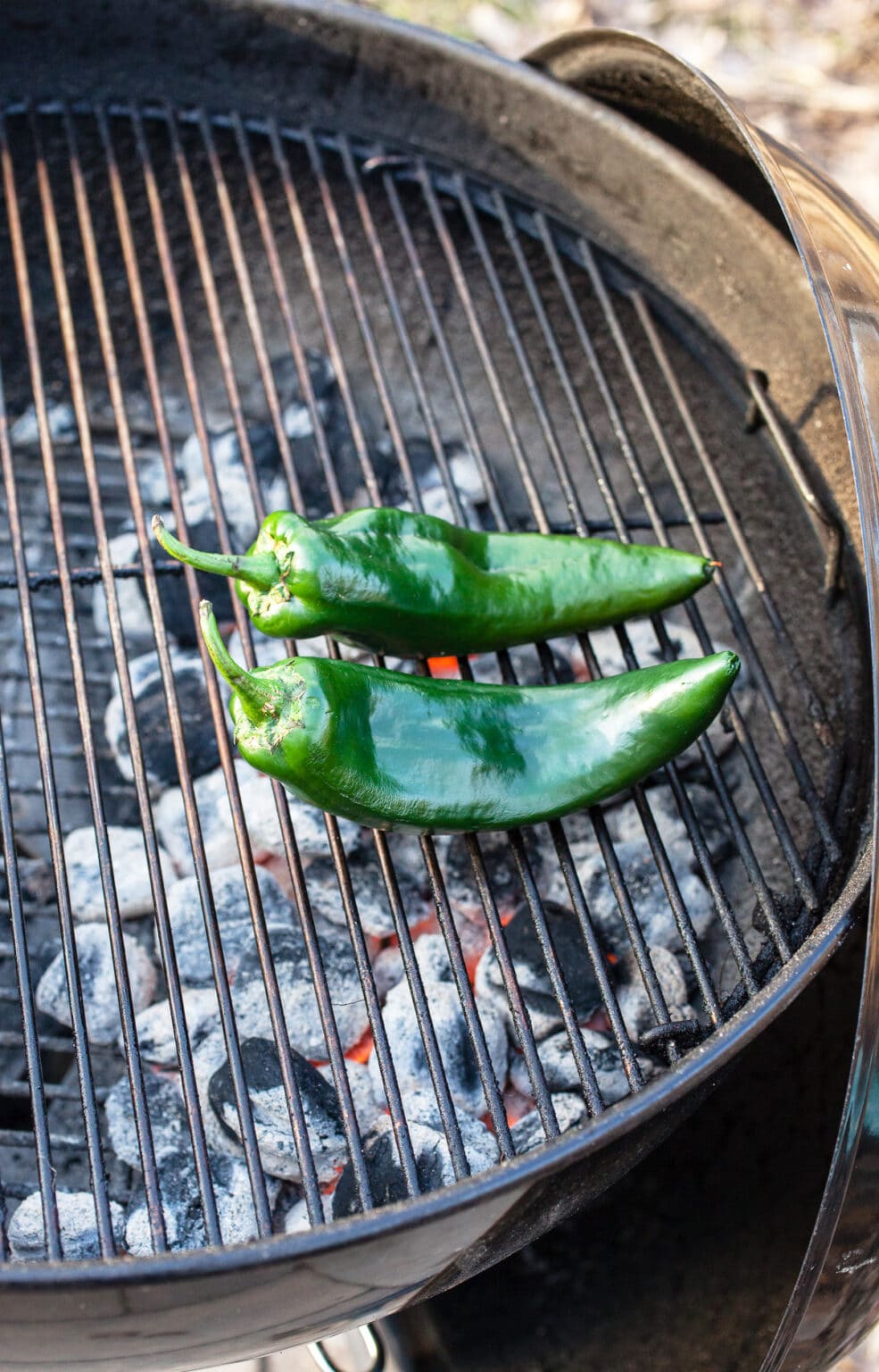 Poblano Avocado Sauce | The Rustic Foodie®