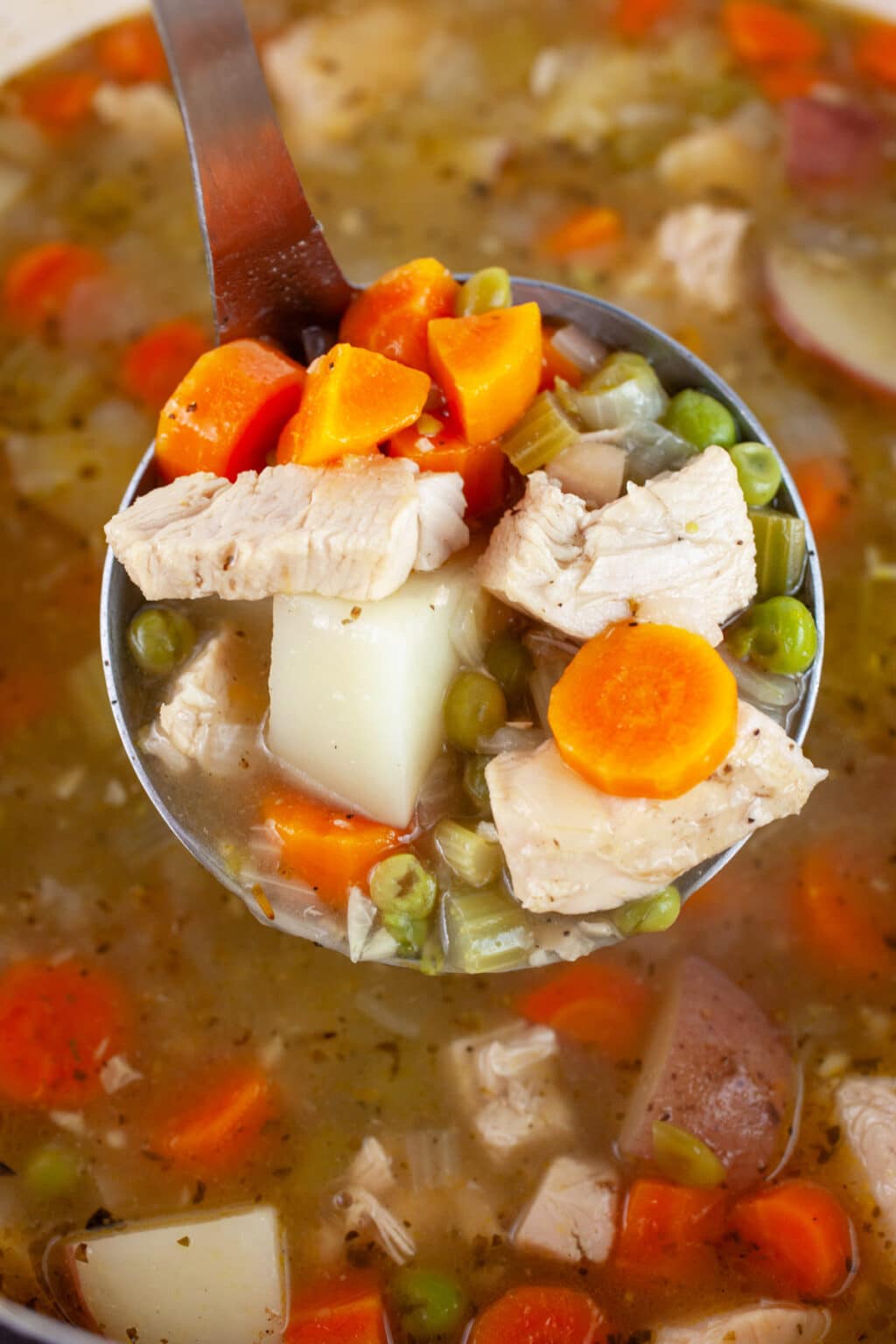 Leftover Turkey Stew | The Rustic Foodie®