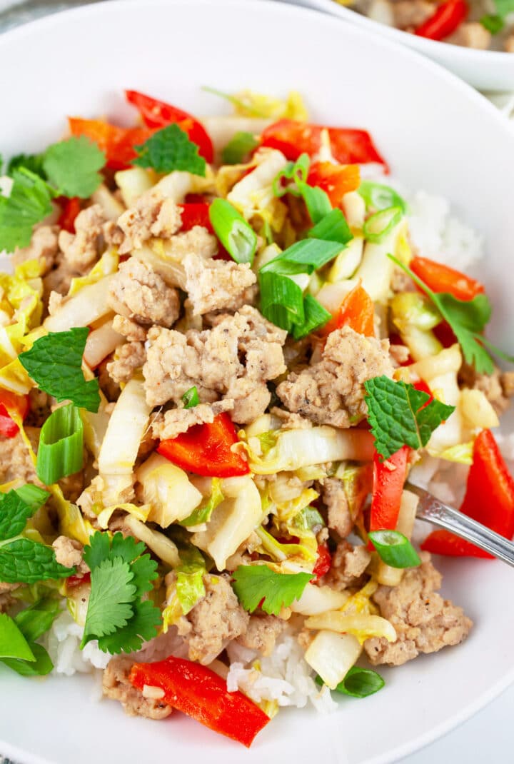 Ground Chicken Rice Bowl | The Rustic Foodie®